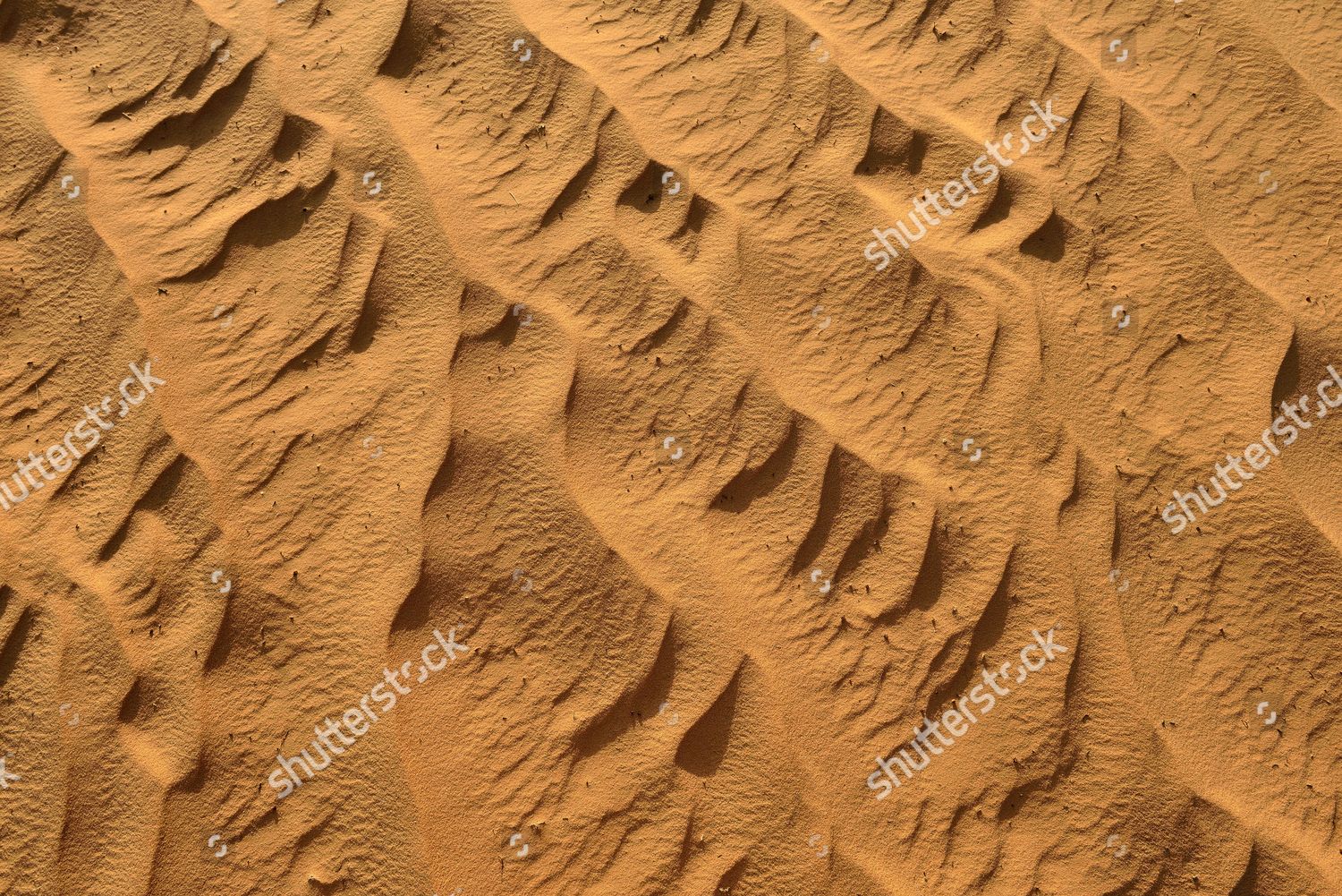 Sand Ripples Texture On Sand Dune Editorial Stock Photo - Stock Image ...