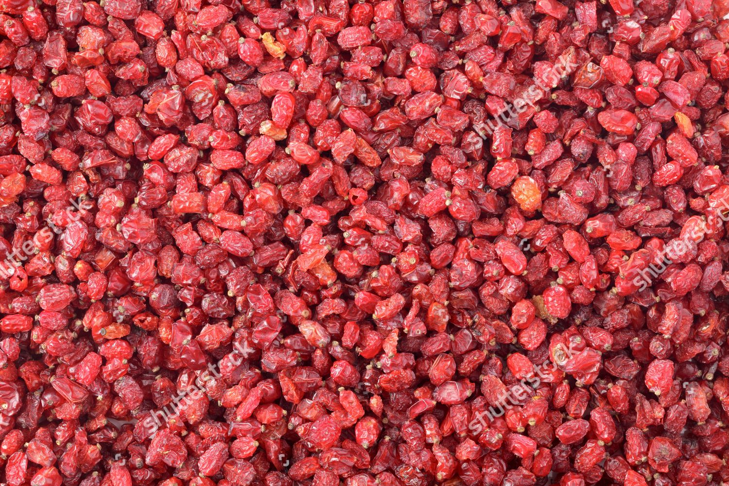 Barberries Editorial Stock Photo - Stock Image | Shutterstock