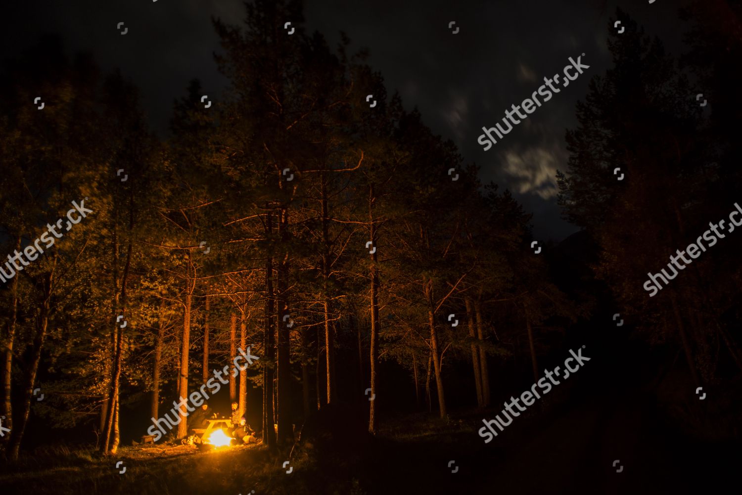 Camp Fire Coniferous Forest Night Skibotn Editorial Stock Photo - Stock ...