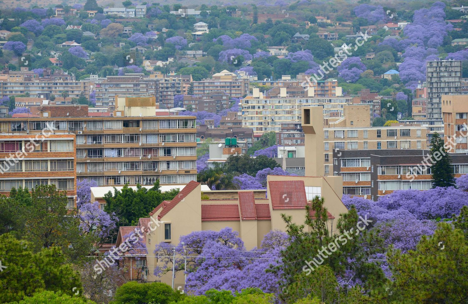 Jacaranda Trees Union Buildings Pretoria South Editorial Stock Photo ...