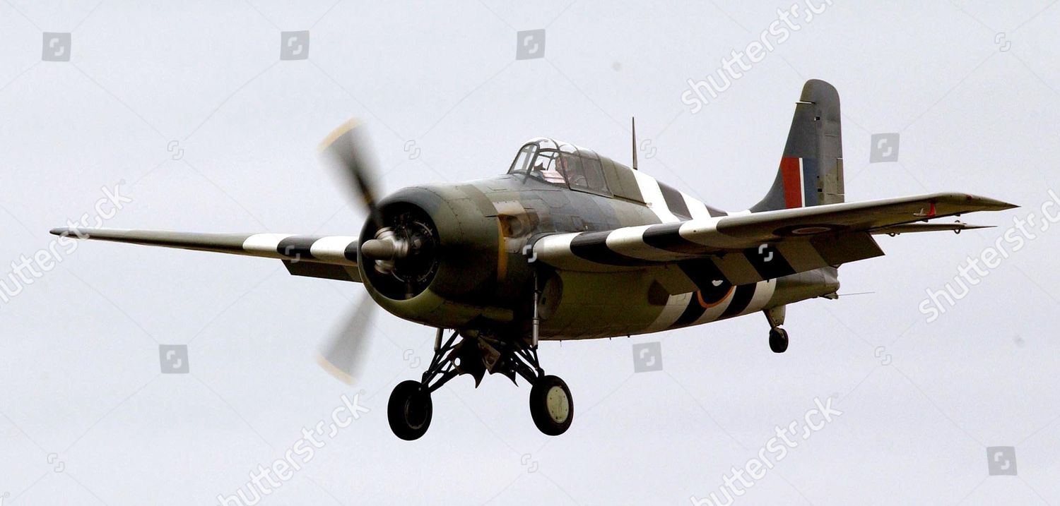 Wildcat Fm2 Editorial Stock Photo - Stock Image | Shutterstock
