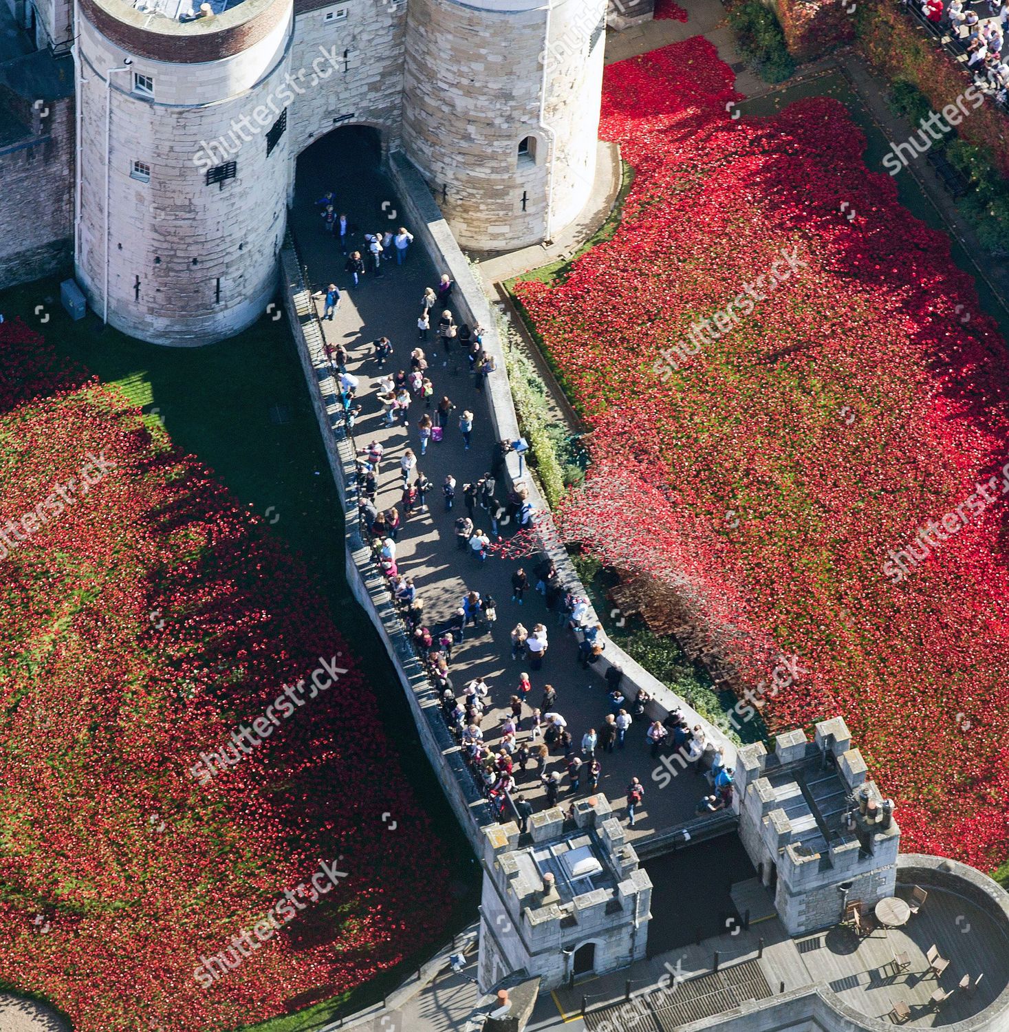 Aerial View Poppy Field Surrounding Tower Editorial Stock Photo - Stock ...