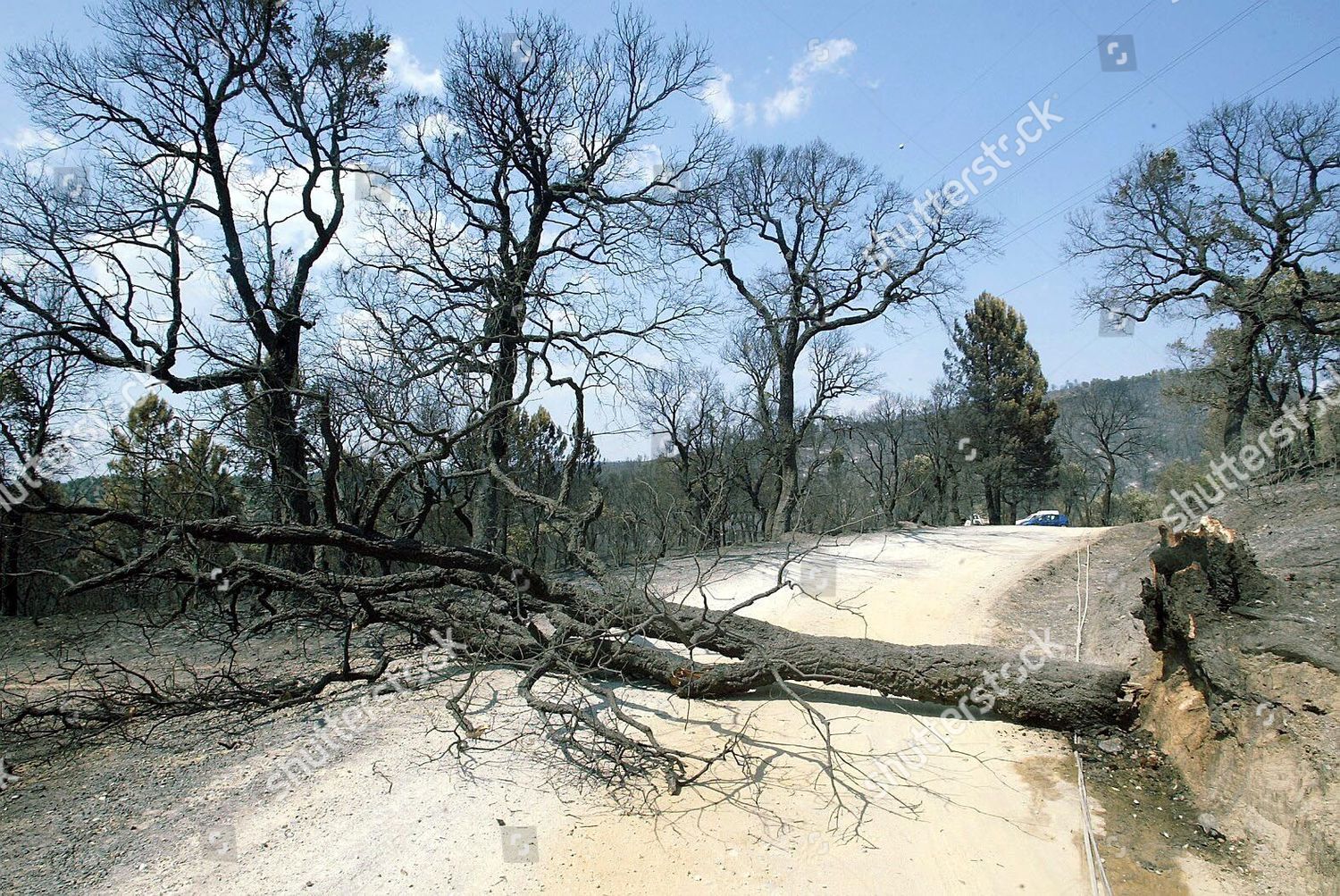 Charred Tree Blocking Road Timson Cottage Editorial Stock Photo - Stock ...