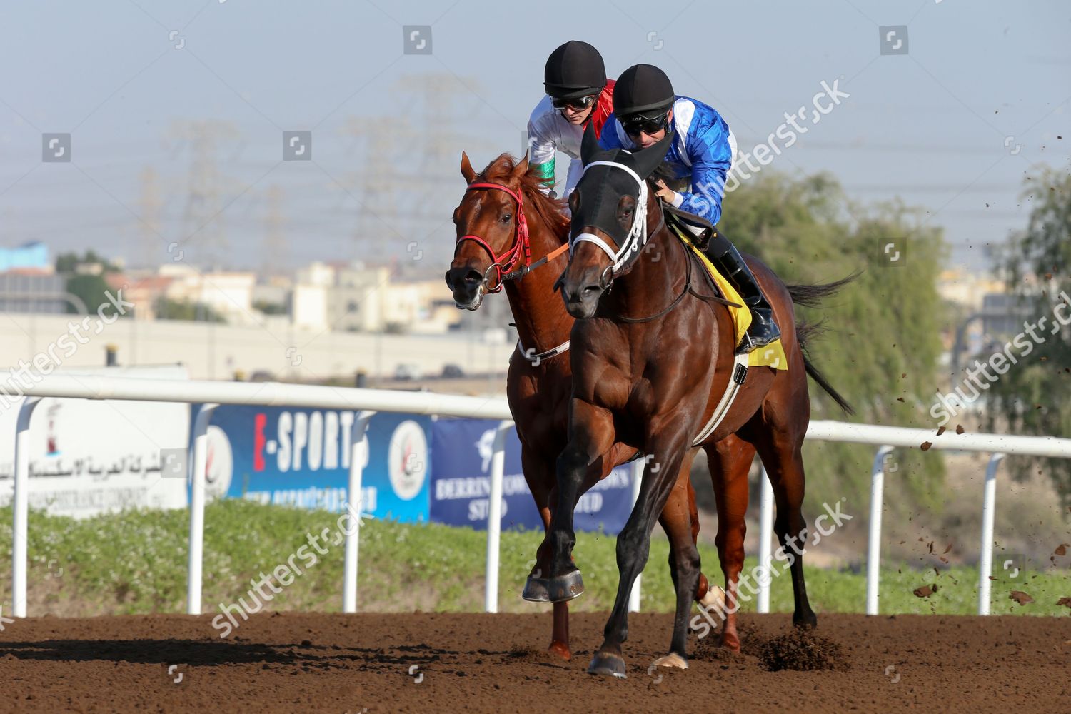 Ostaad Under Patrick Dobbs Trained By Editorial Stock Photo - Stock ...