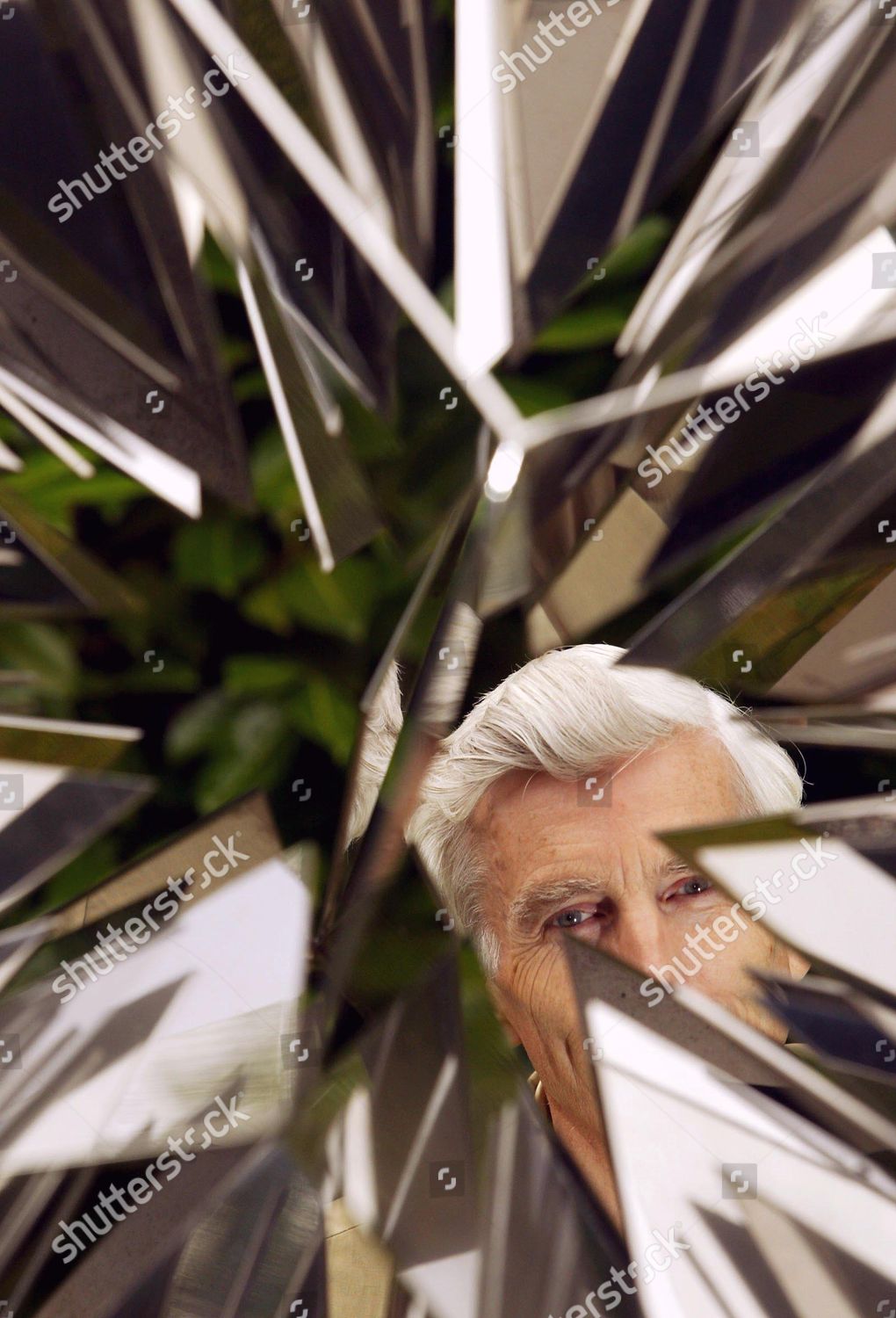 Sir Martin Rees Looking Through Pulse Editorial Stock Photo - Stock ...
