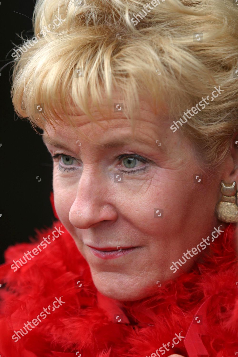 Christine Hamilton Editorial Stock Photo - Stock Image | Shutterstock