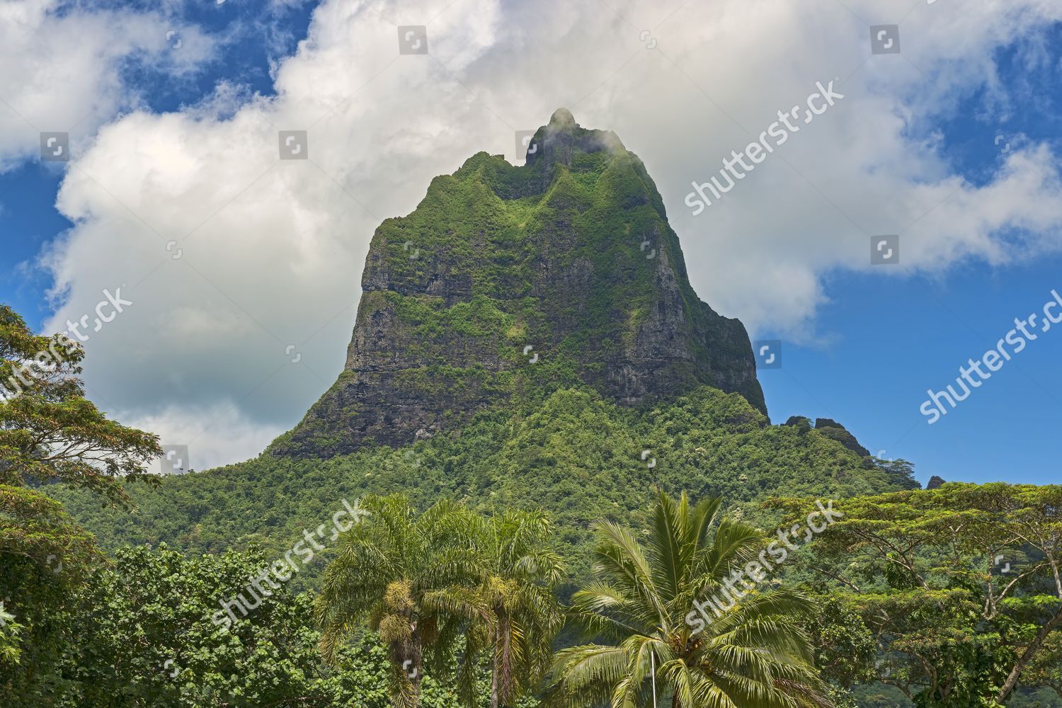 Mont Tohiea Volcano Moorea French Polynesia Editorial Stock Photo ...