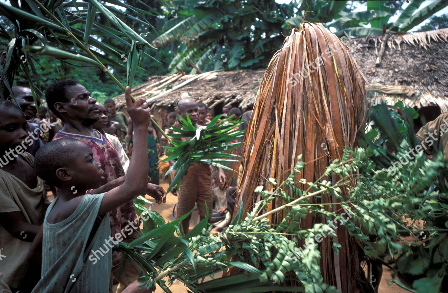 Pygmies Bayaka Dzanga Sangha Rainforest Dance Editorial Stock Photo ...