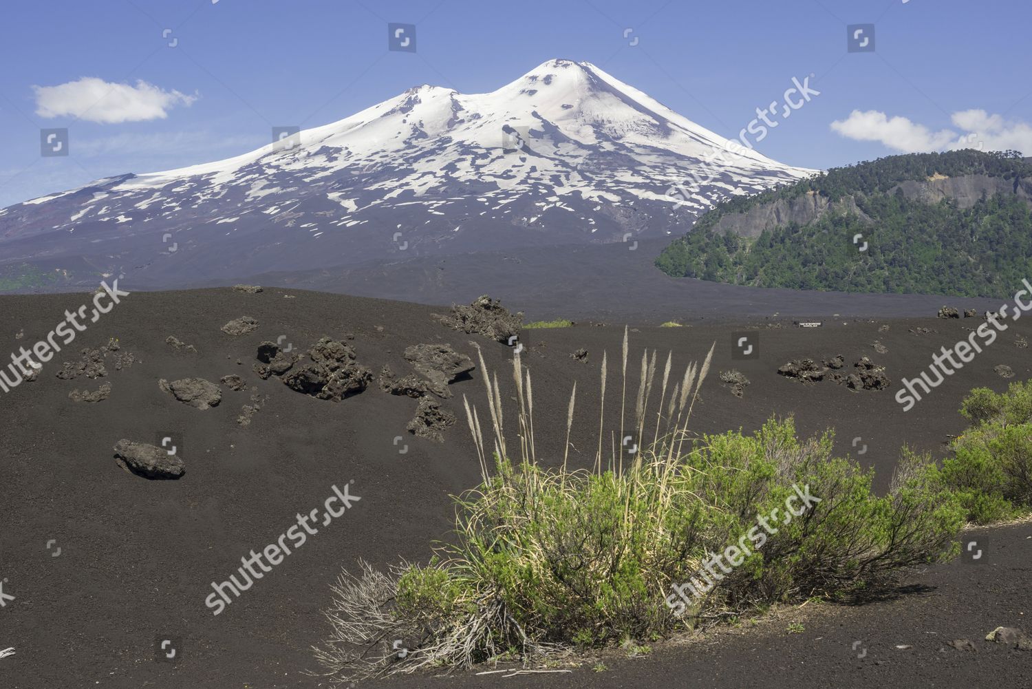 Grass On Lava Ash Llaima Volcano Editorial Stock Photo - Stock Image ...