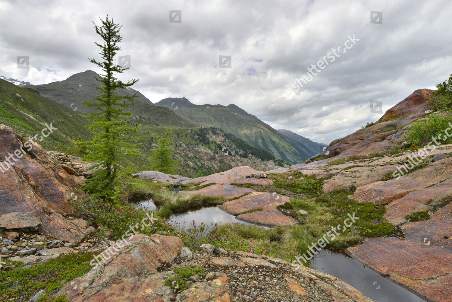 Glacial Fluting Mt Gepatschferner Back Mt Editorial Stock Photo - Stock ...