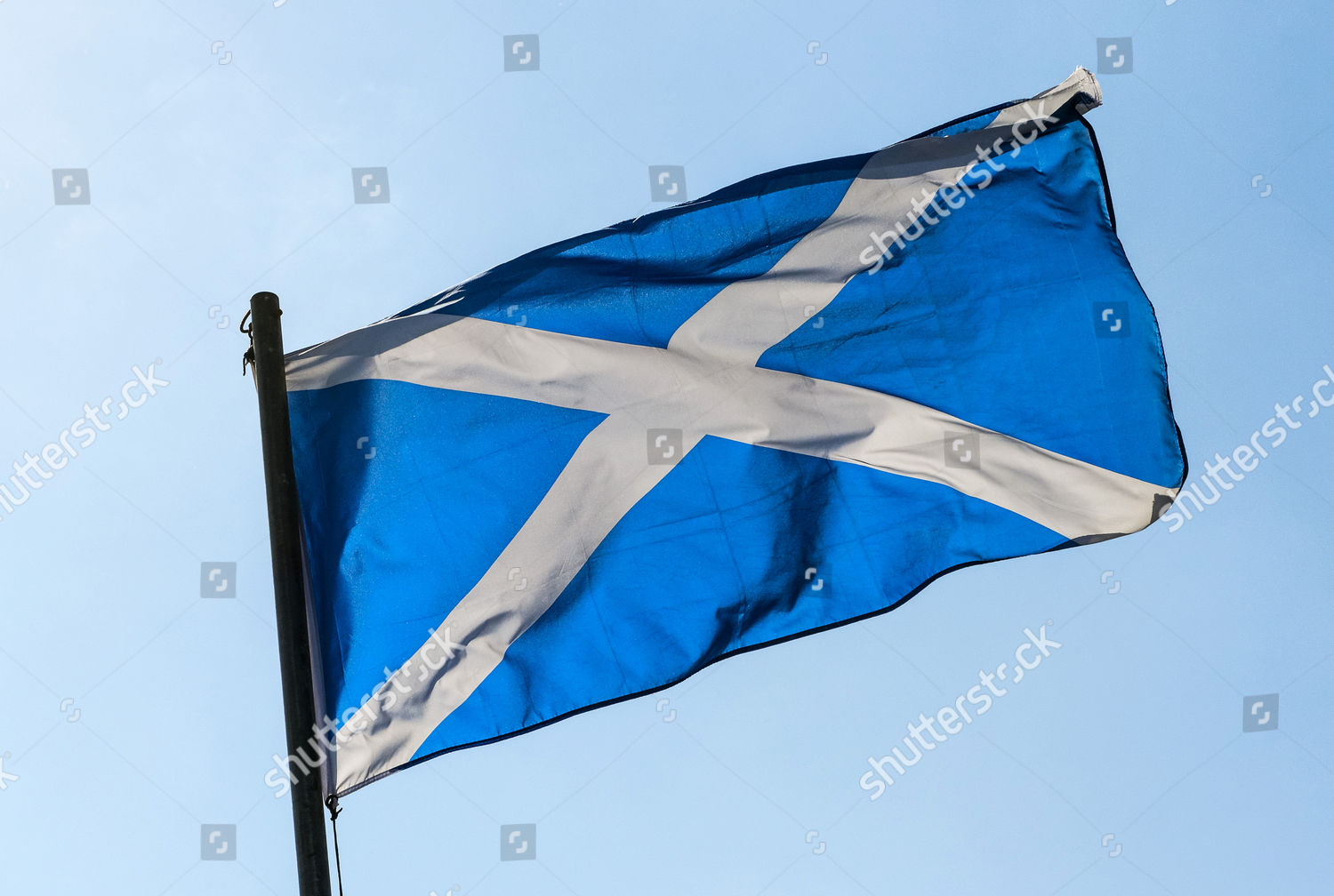 Saltire Scottish Flag Flying Against Blue Editorial Stock Photo - Stock ...