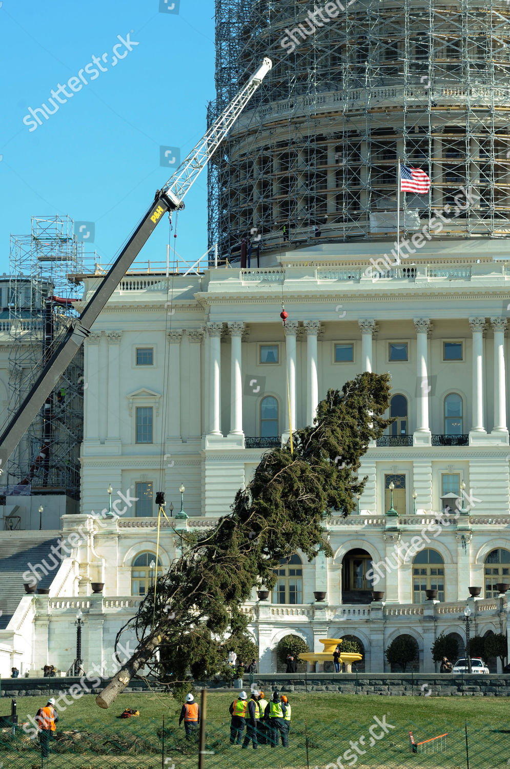 2014 Capitol Christmas Tree Seen Planted Editorial Stock Photo - Stock ...
