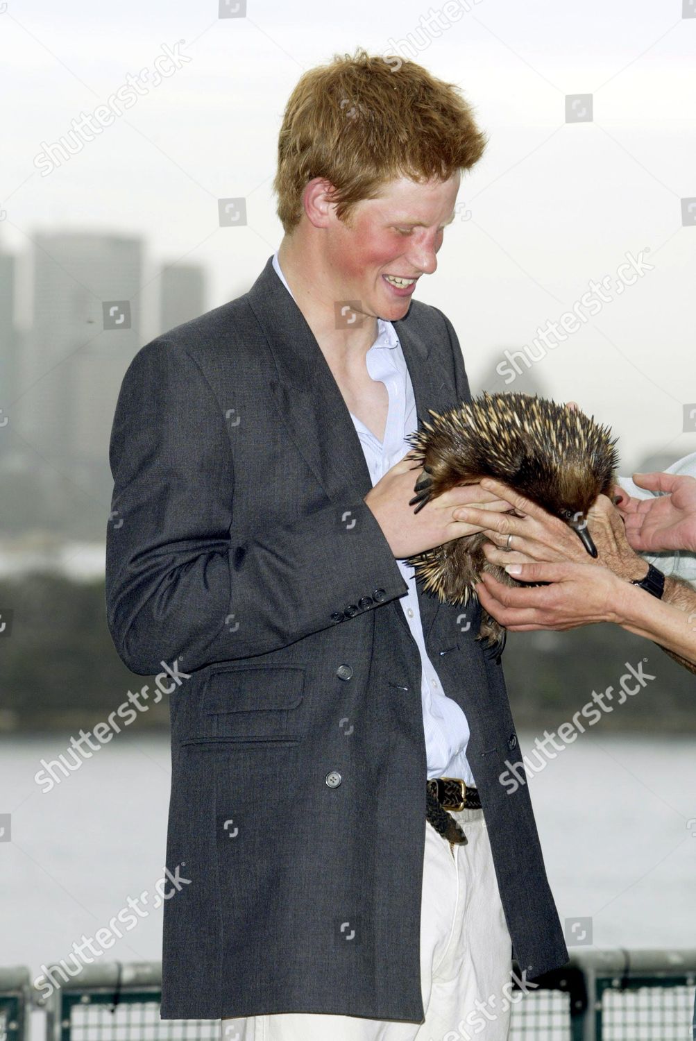 Prince Harry Holding Echidna Called Spike Editorial Stock Photo - Stock ...