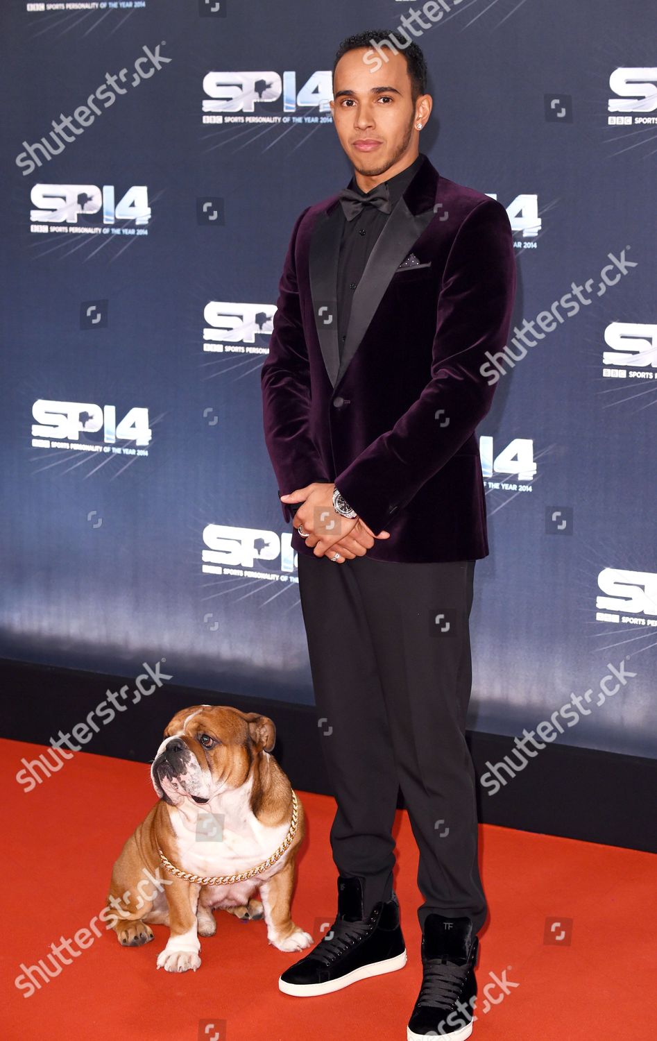 Lewis Hamilton Dog Roscoe Editorial Stock Photo - Stock Image ...