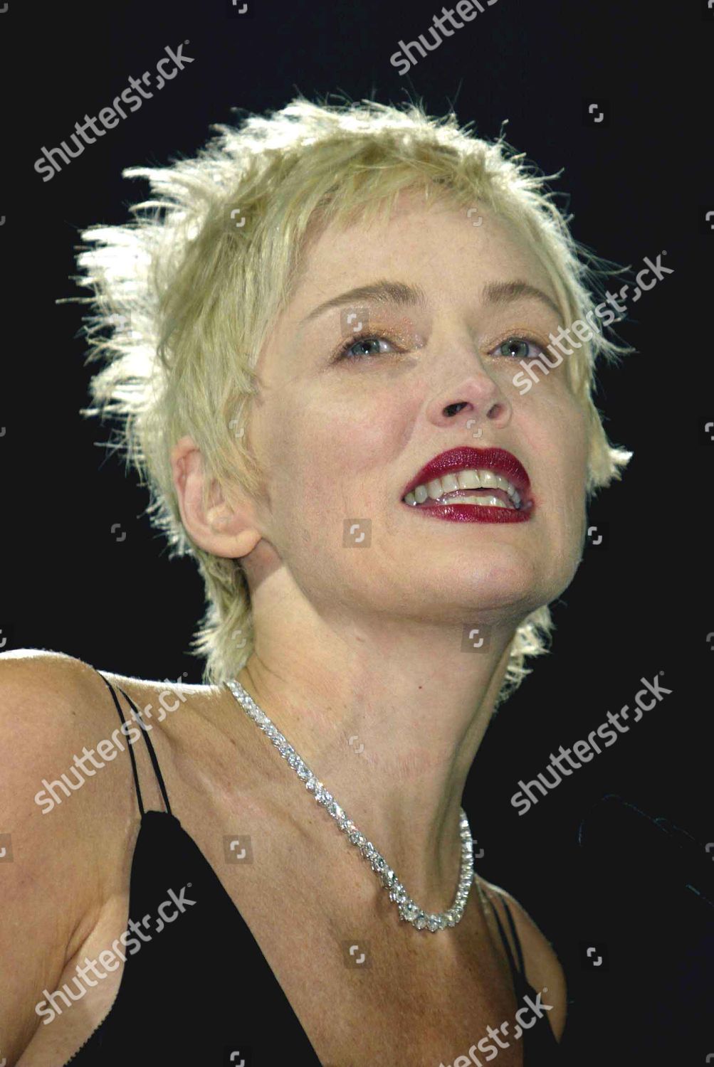 Sharon Stone Editorial Stock Photo - Stock Image | Shutterstock