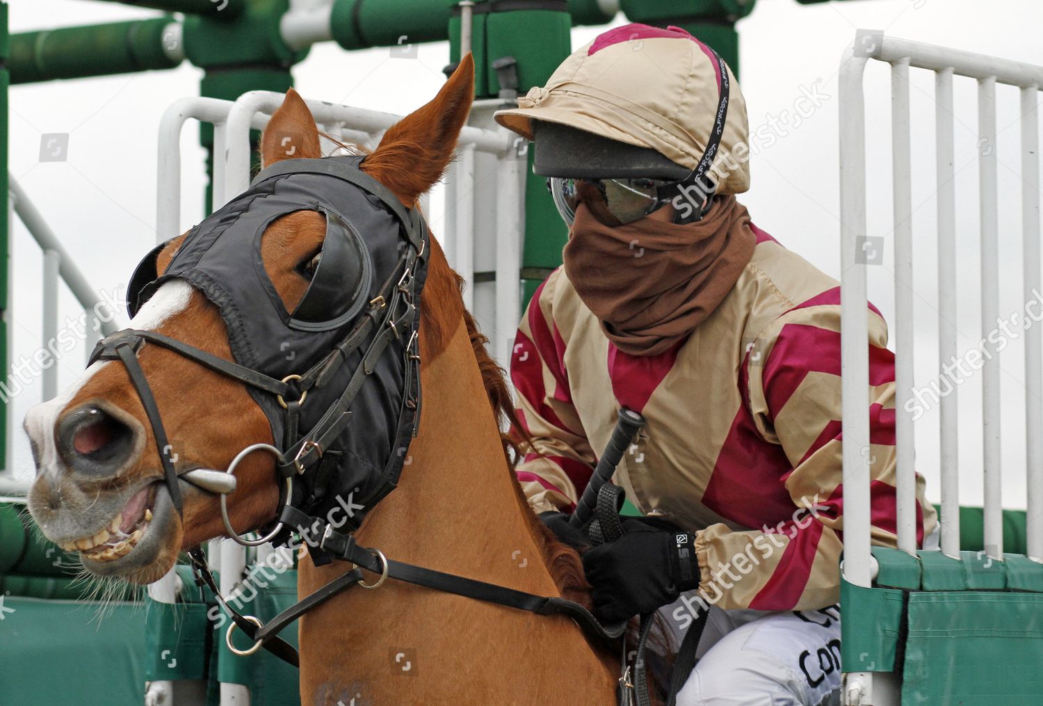 Hayley Turner Bursts Stalls Aboard Incendo Editorial Stock Photo ...