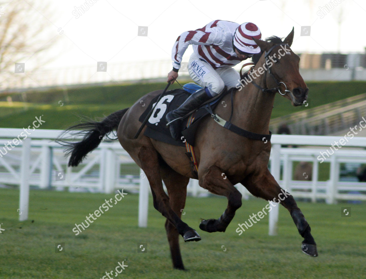 Desilvano Liam Treadwell Wins Two Circles Editorial Stock Photo - Stock ...