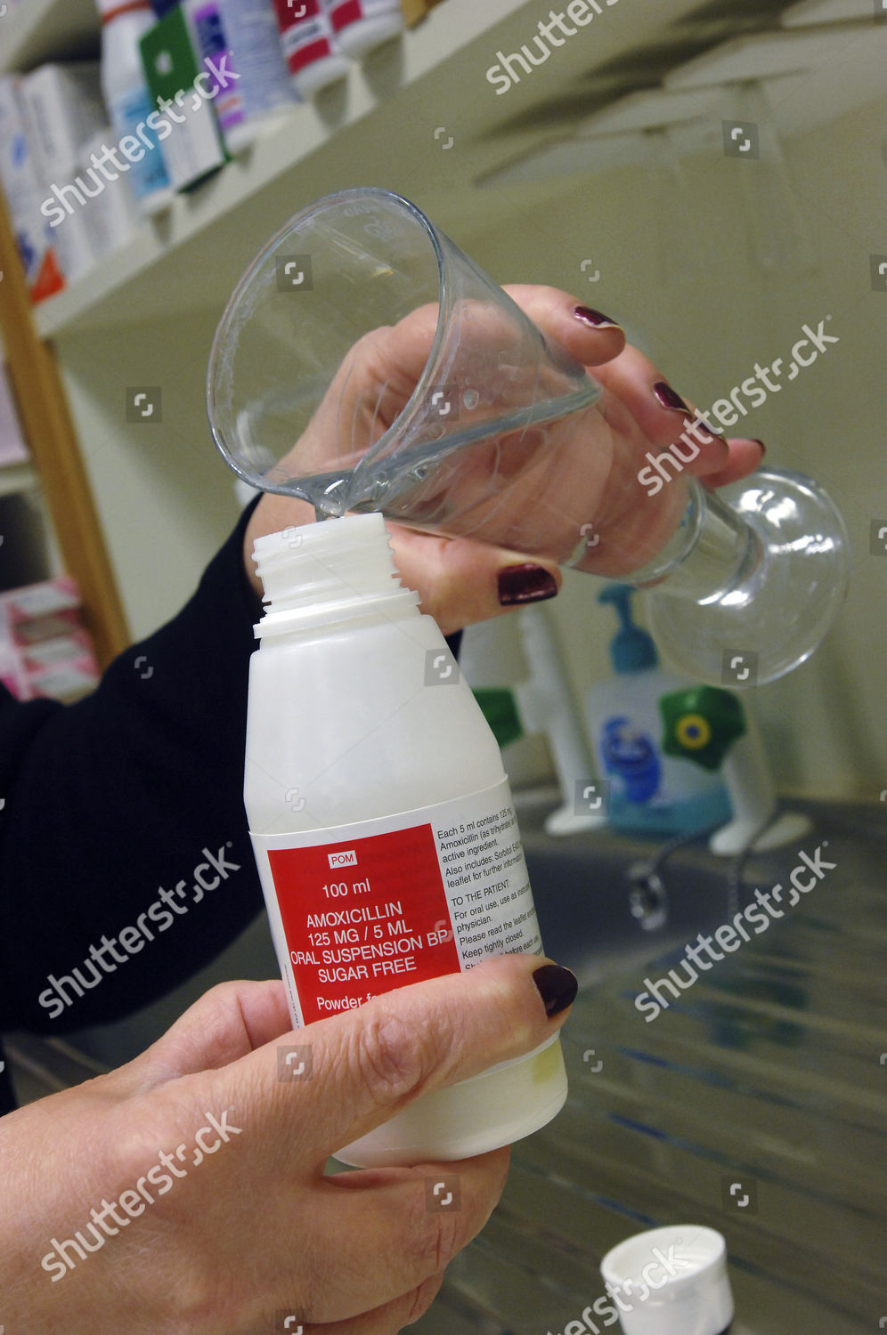 Pharmacist Adds Water Amoxicillin Trihydrate Powder Editorial Stock ...
