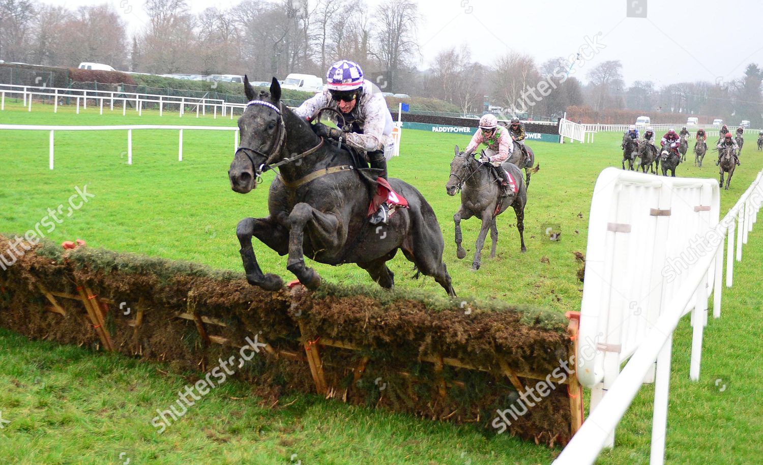 Leopardstown Fiscal Focus Mikey Fogarty Over Editorial Stock Photo ...