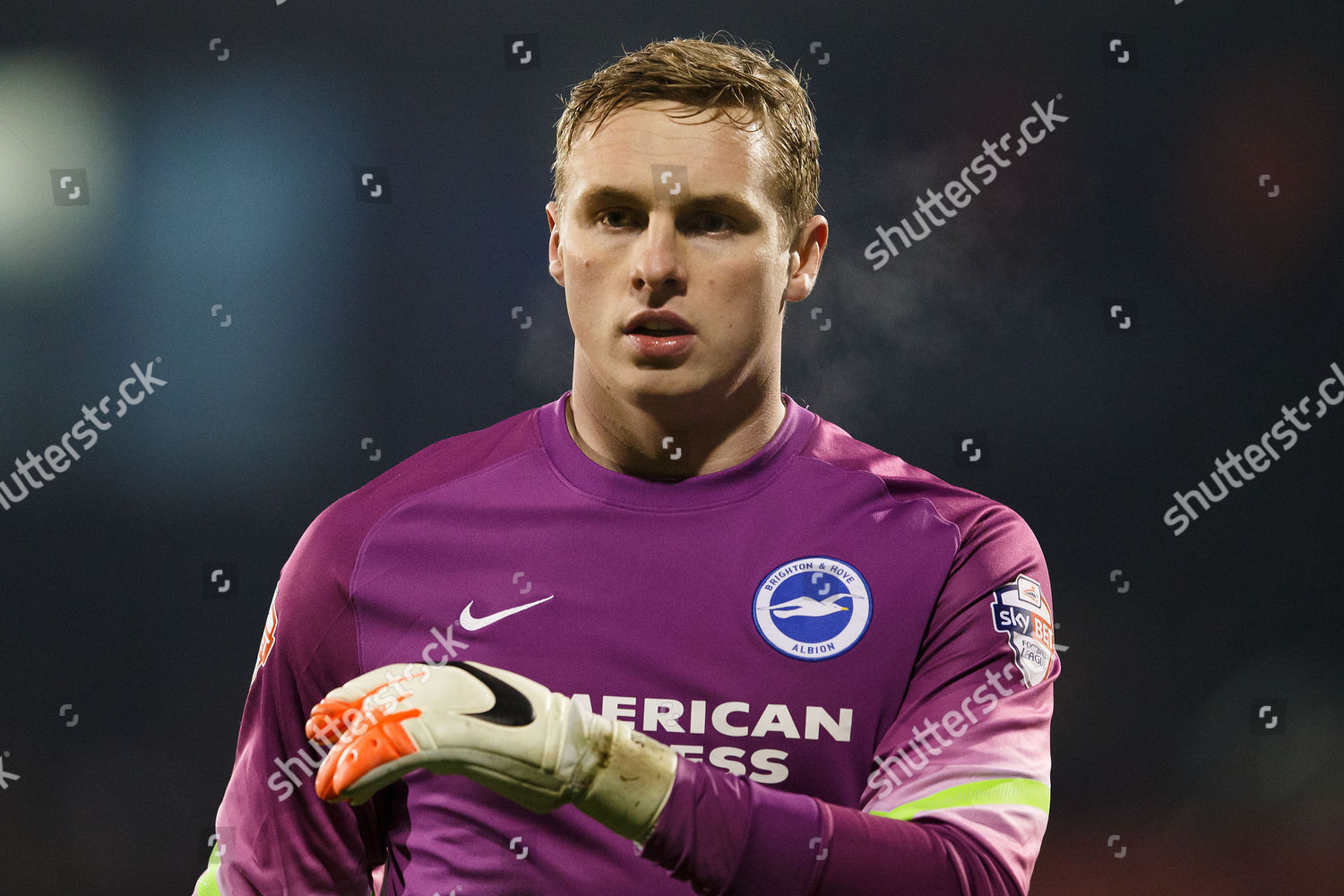Goalkeeper David Stockdale Brighton Hove Albion Editorial Stock Photo ...