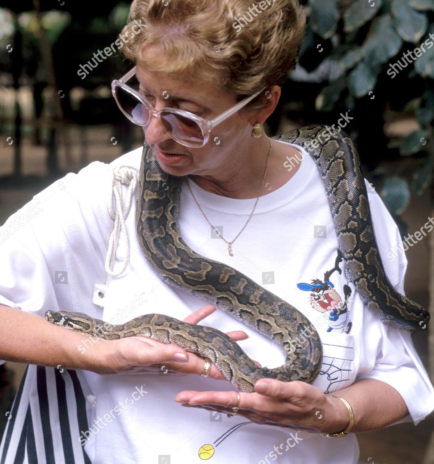 Python Snake Farm Malindi Editorial Stock Photo - Stock Image ...