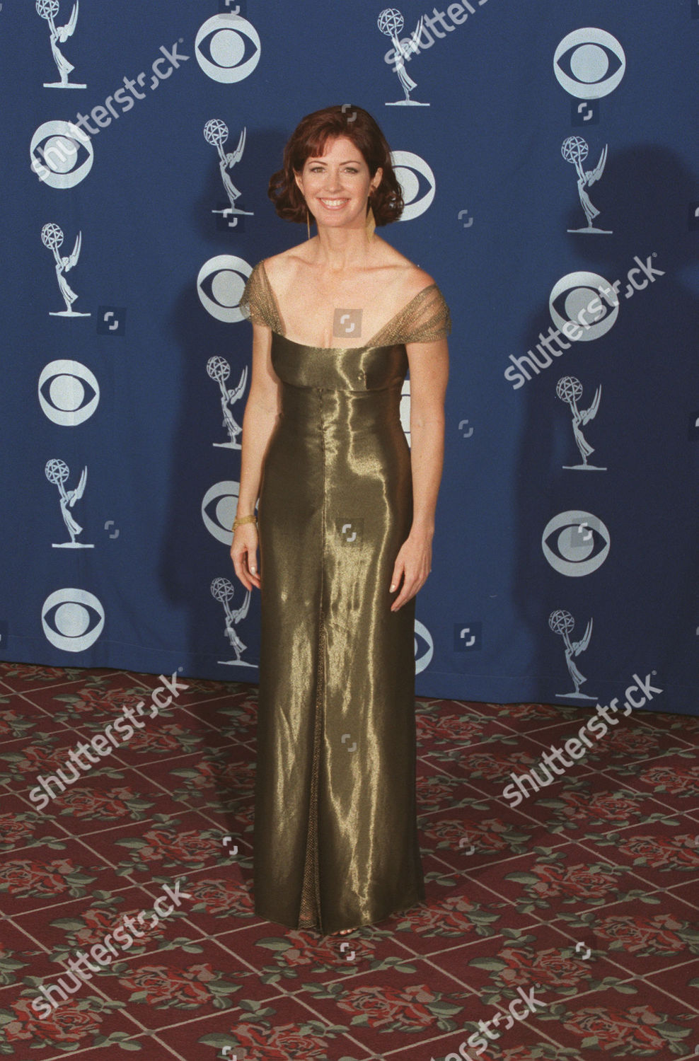 Dana Delaney Editorial Stock Photo - Stock Image | Shutterstock