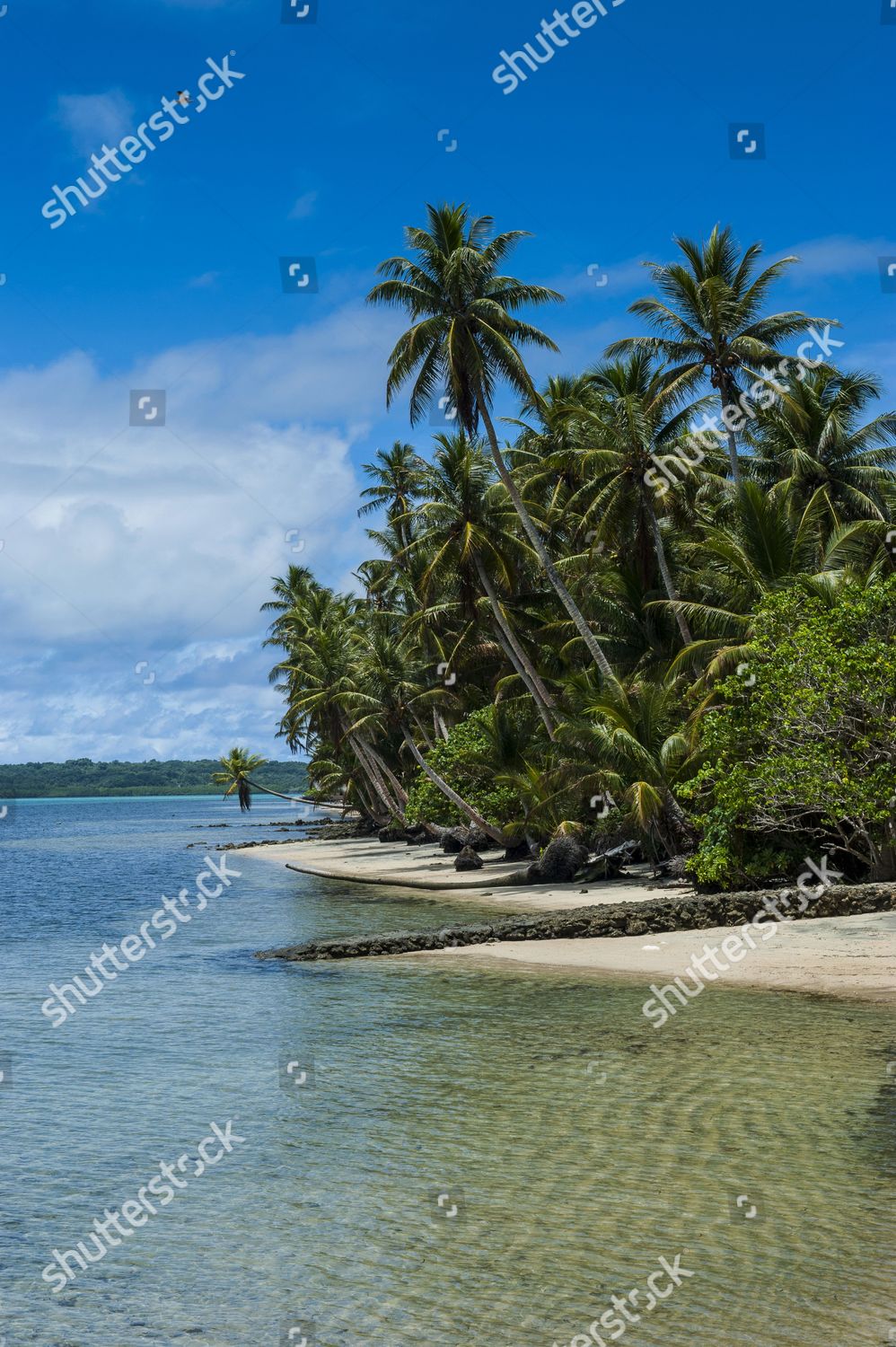 White Sand Beach Palm Trees Yap Editorial Stock Photo - Stock Image ...