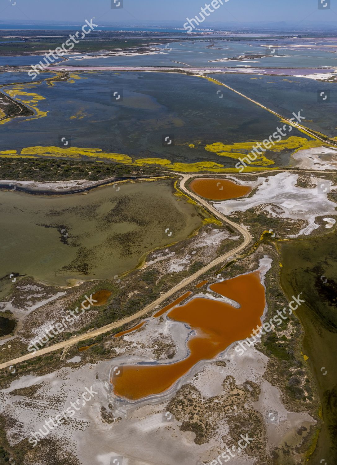 Salt Patterns On Surface Salt Marshes Editorial Stock Photo - Stock ...