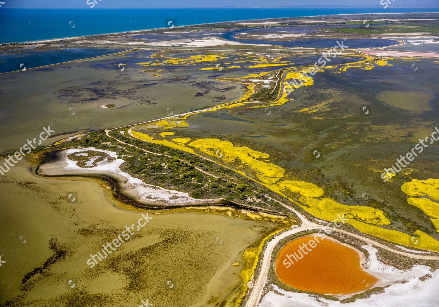 Salt Patterns On Surface Salt Marshes Editorial Stock Photo - Stock ...