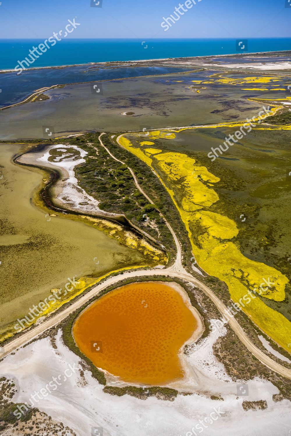 Salt Patterns On Surface Salt Marshes Editorial Stock Photo - Stock ...