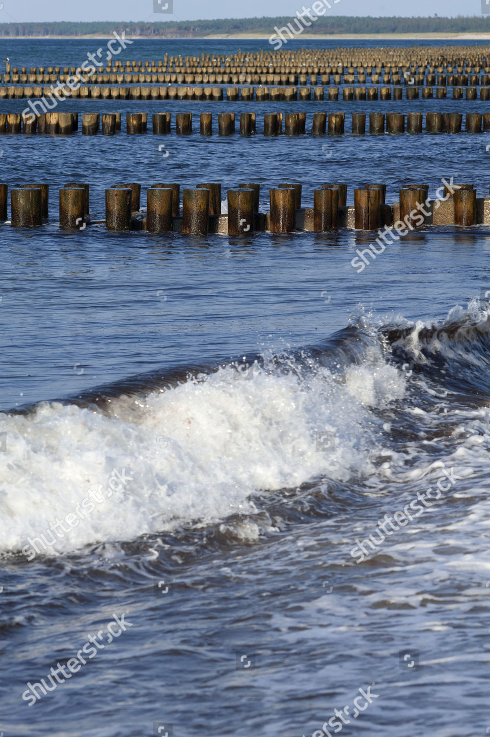 Groynes Coastal Protection Baltic Sea Beach Editorial Stock Photo ...