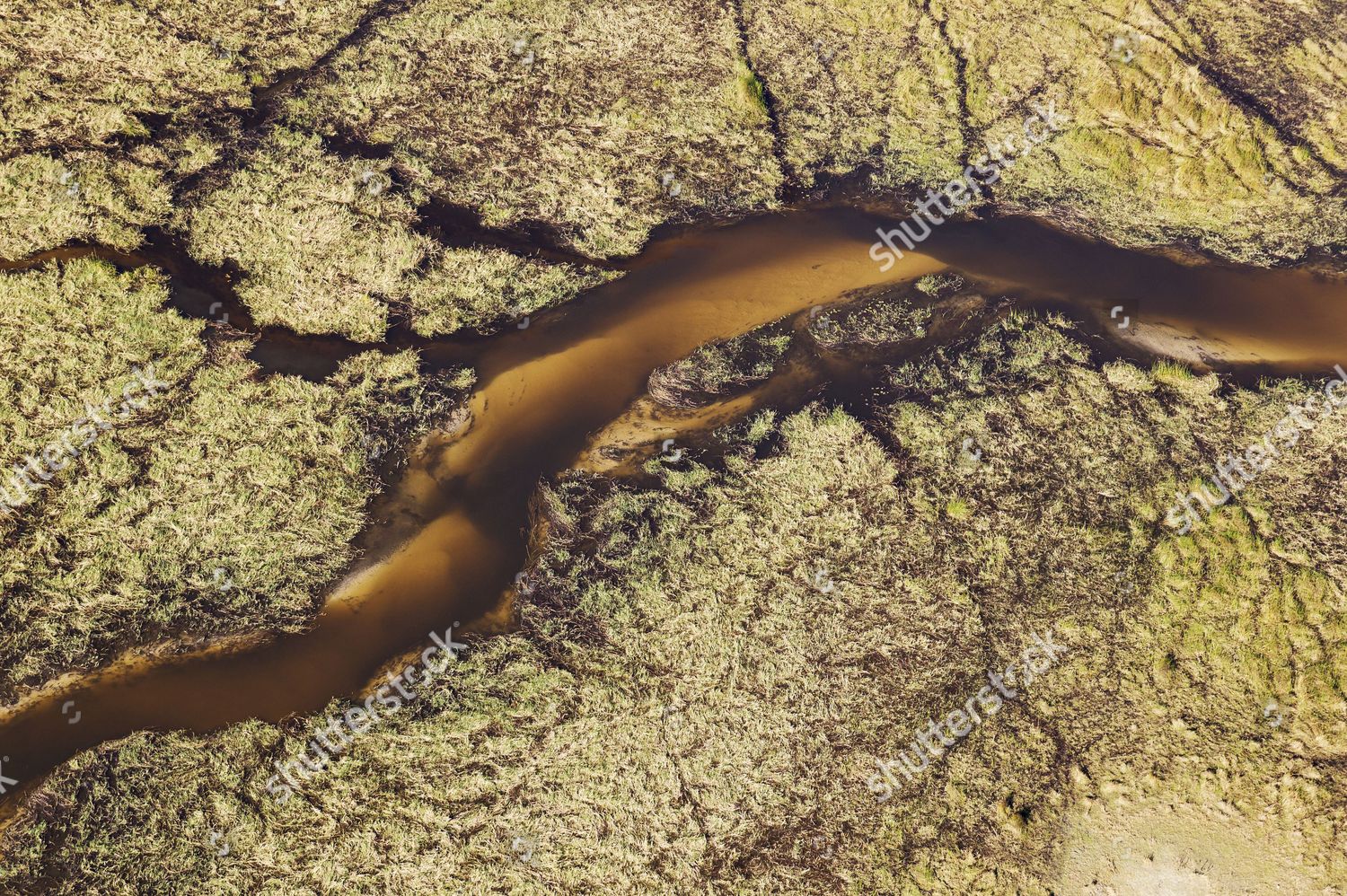 Freshwater Marshes Sandy Streams Channels Aerial Editorial Stock Photo ...