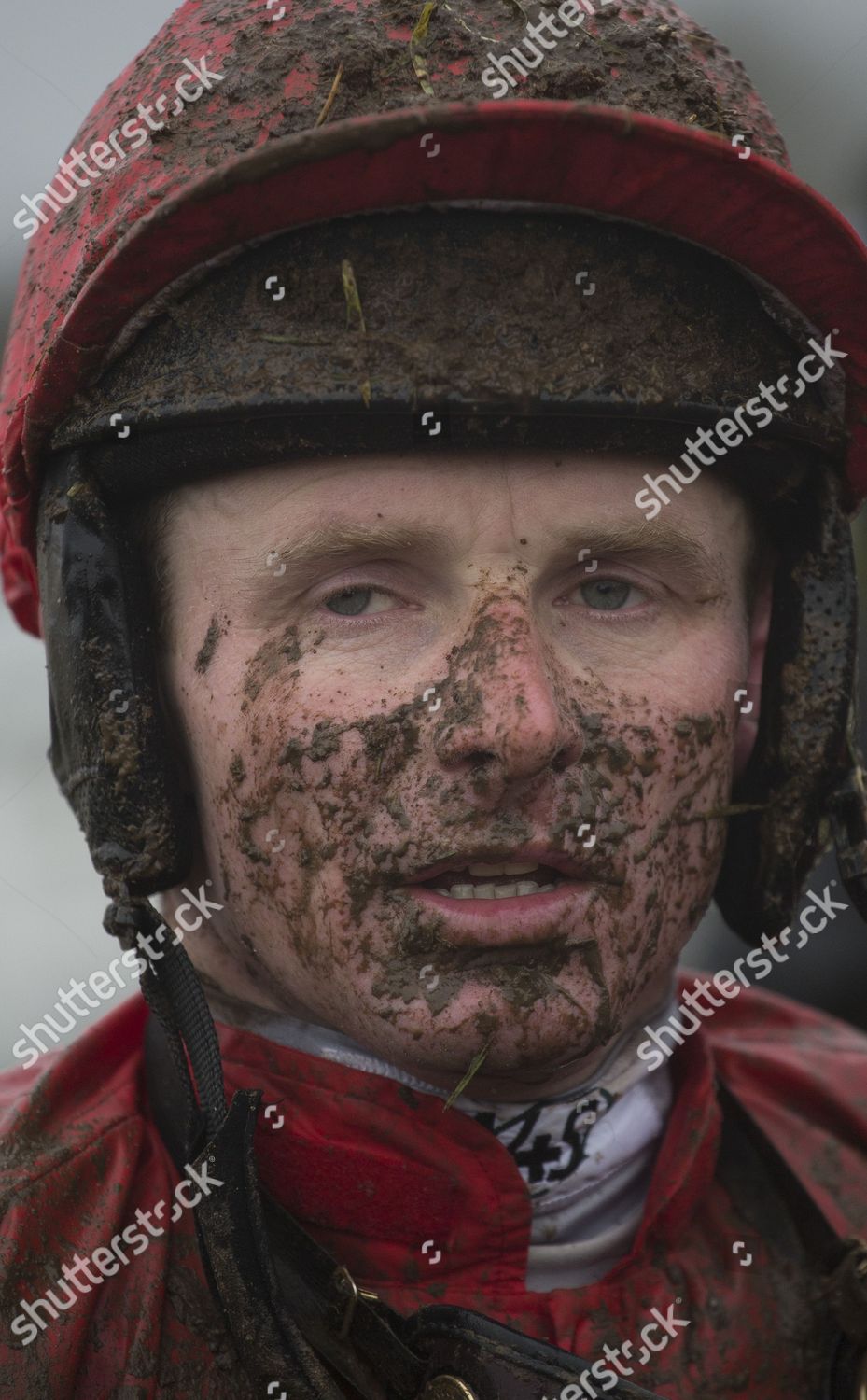 Wincanton Paul Moloney After He Rode Editorial Stock Photo - Stock Image | Shutterstock