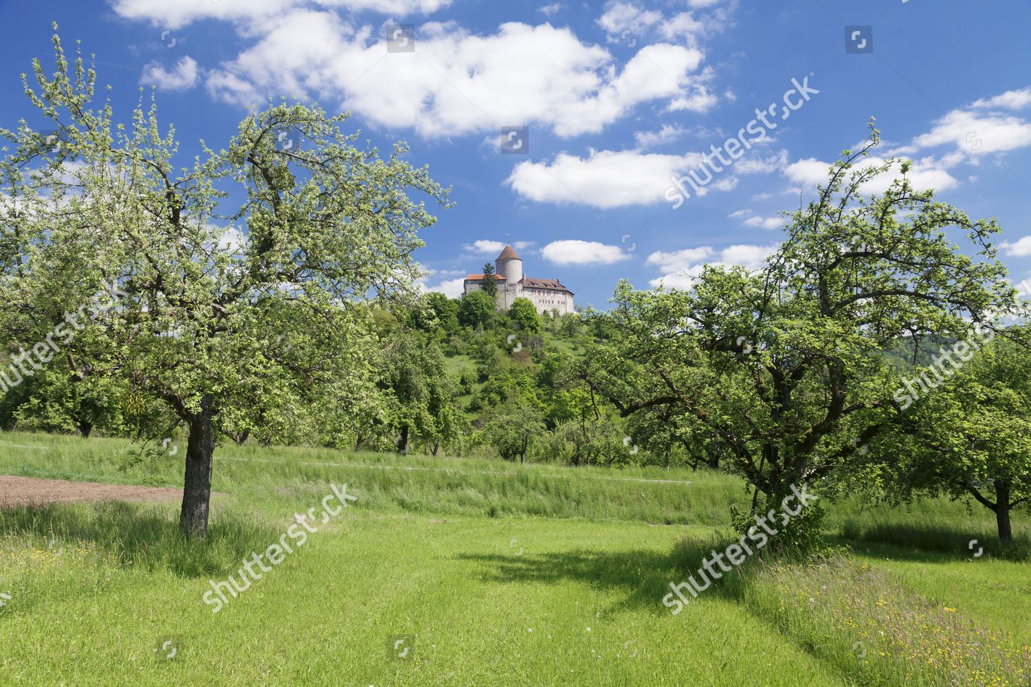 Reichenberg Castle Oppenweiler Rems Murr Kreis Editorial Stock Photo ...