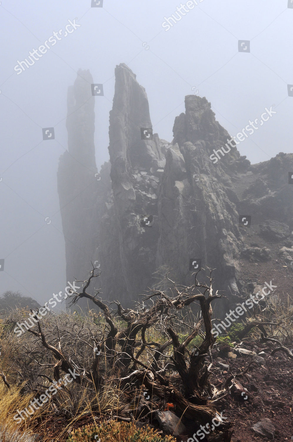 Rock Wall Pared De Roberto Caldera Editorial Stock Photo - Stock Image ...
