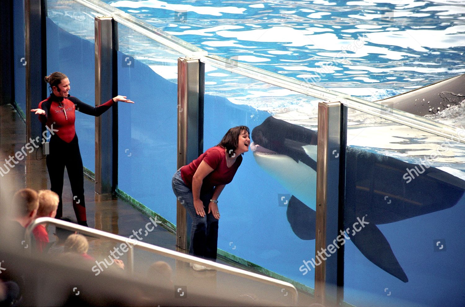 Shamu Killer Whale Show Seaworld Florida Editorial Stock Photo - Stock ...