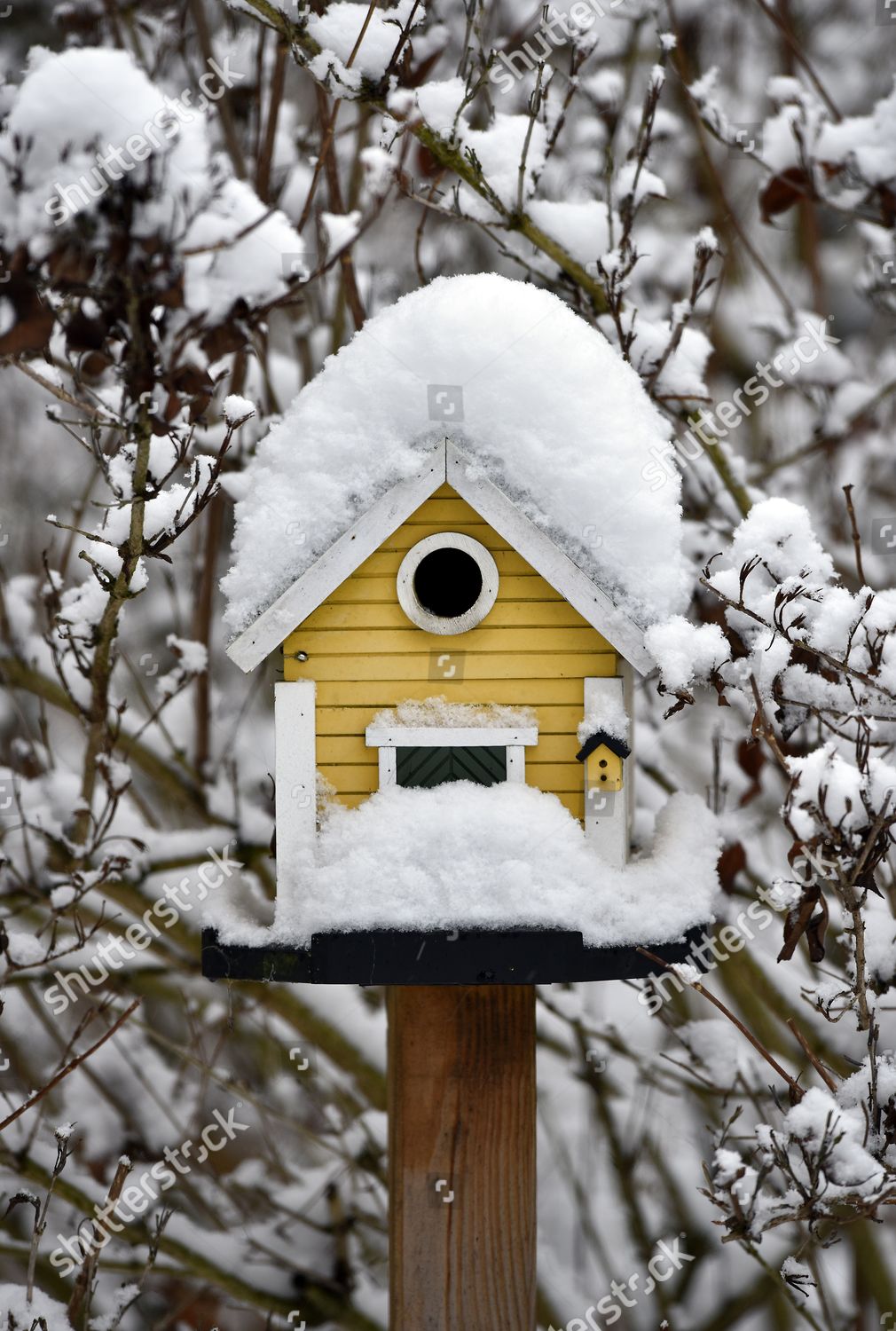 Snowcovered Bird House Winter Editorial Stock Photo - Stock Image ...