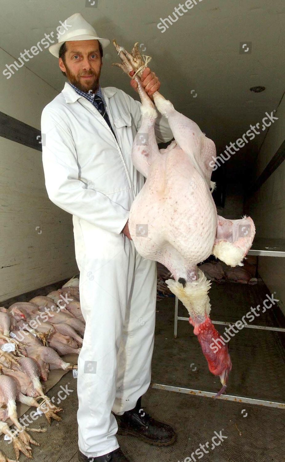 David Gall Has Unveiled Countrys Biggest Editorial Stock Photo - Stock ...