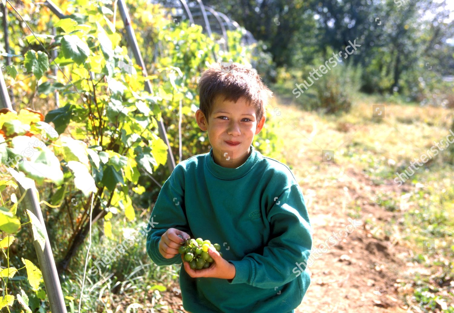 Boy Eating Grapes Model Released Editorial Stock Photo - Stock Image ...