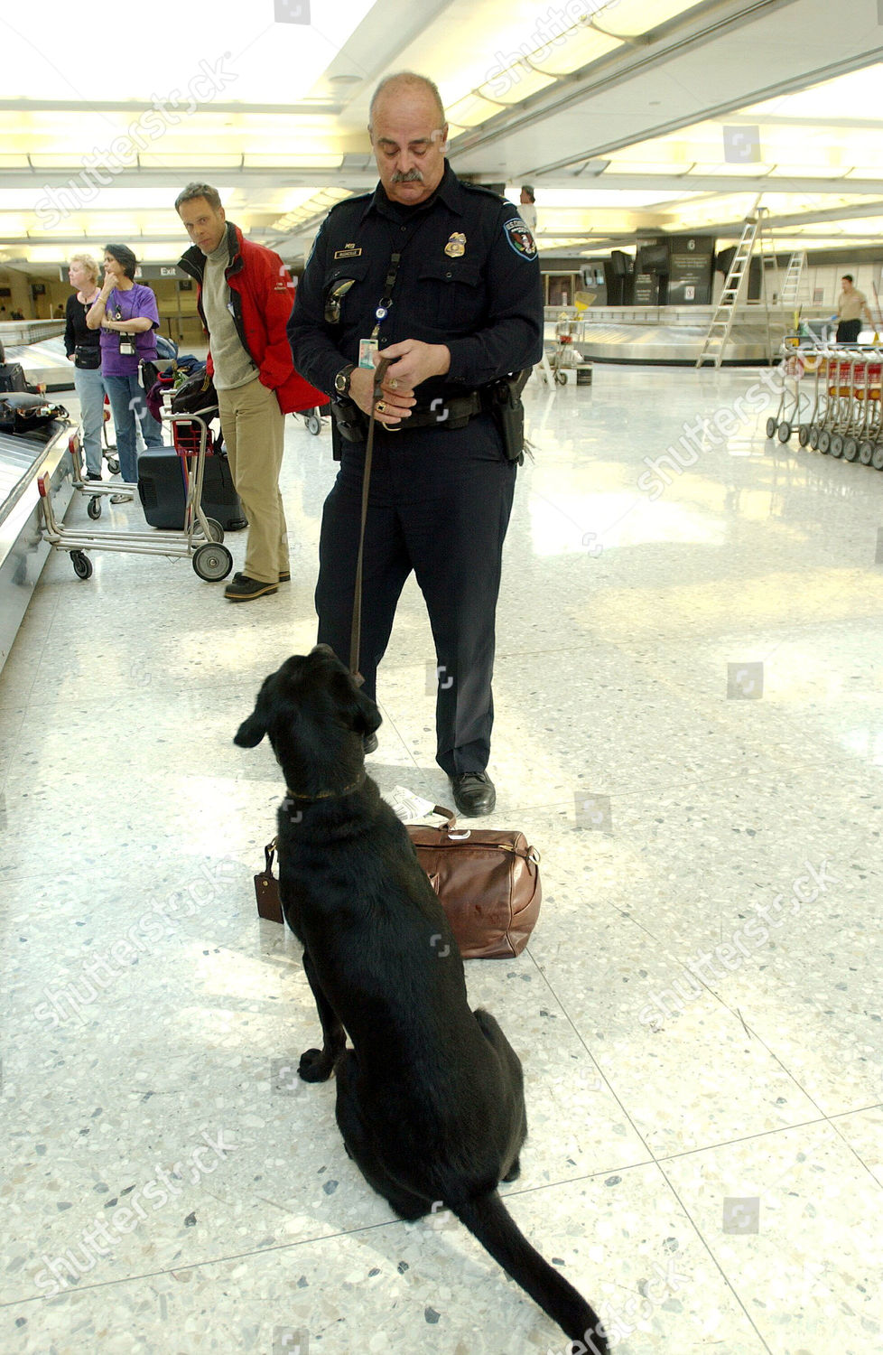 Us Customs Border Protection Drug Dog Editorial Stock Photo - Stock ...