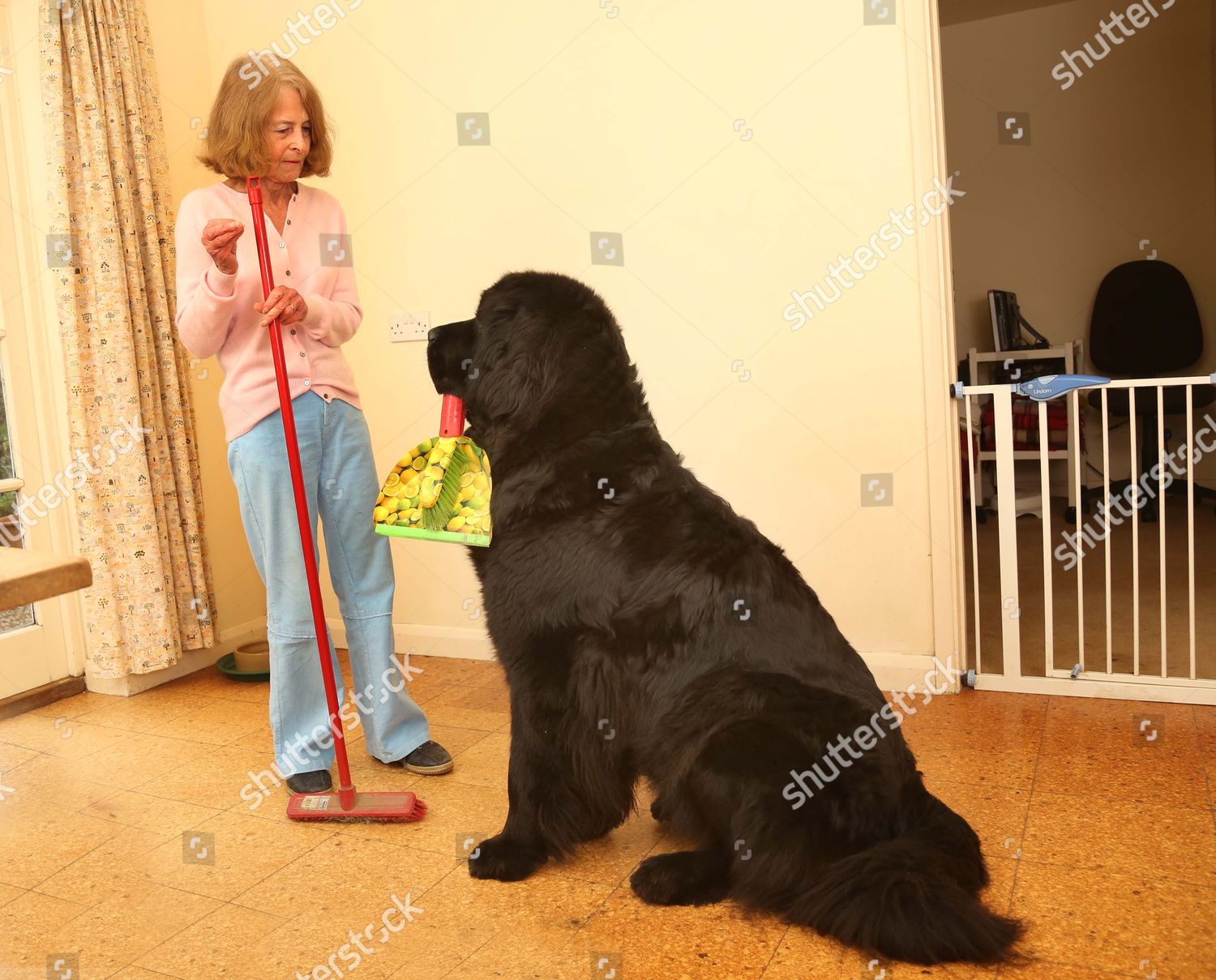 Hazel Carter Chloe Her Very Clever Editorial Stock Photo - Stock Image ...