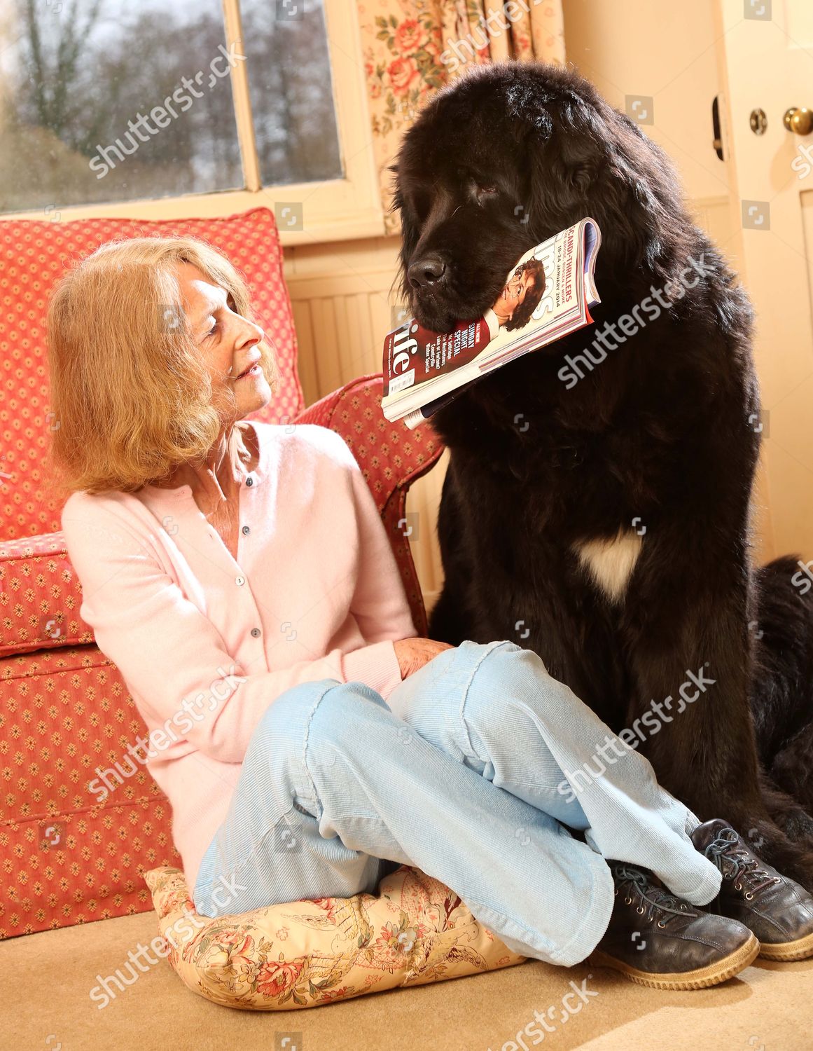 Hazel Carter Chloe Her Very Clever Editorial Stock Photo - Stock Image ...