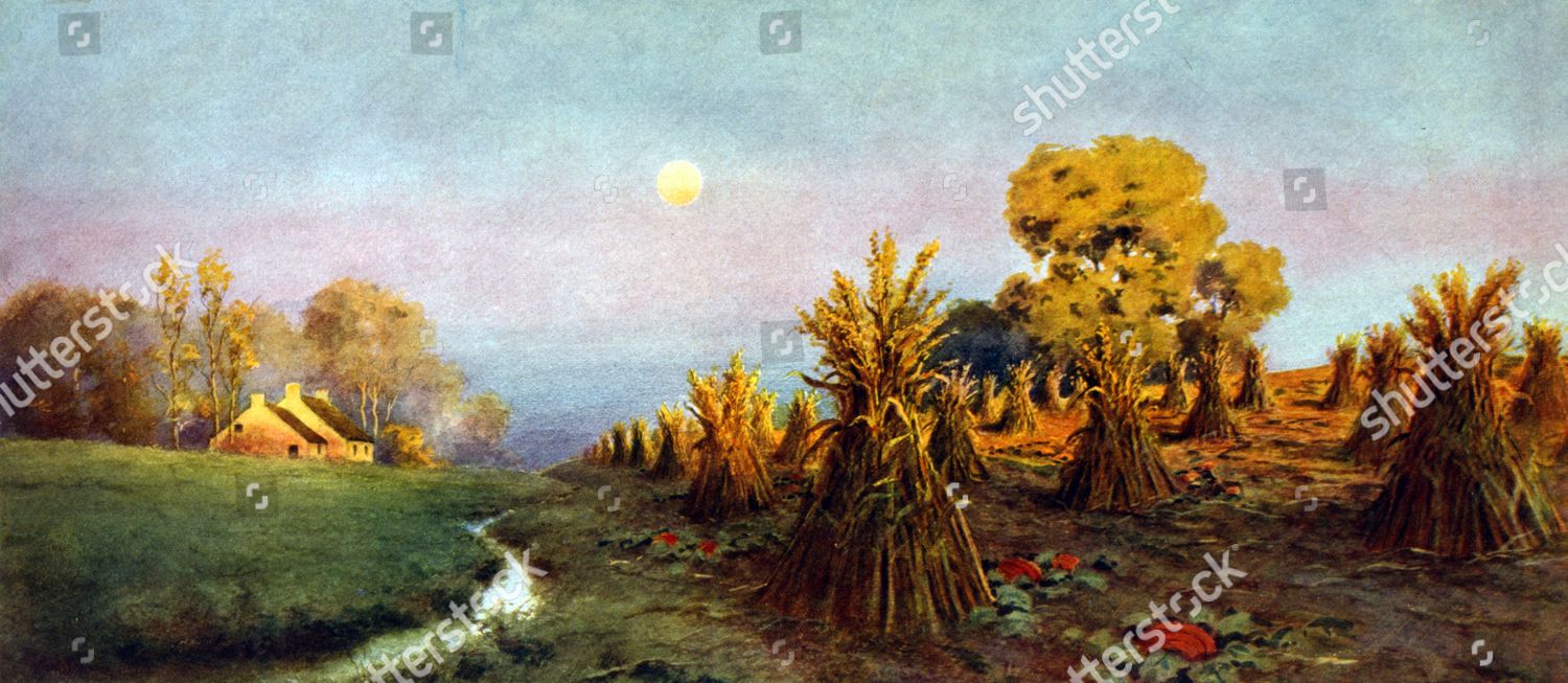 Natures Bounty Corn Shocks Field Painting Editorial Stock Photo - Stock ...