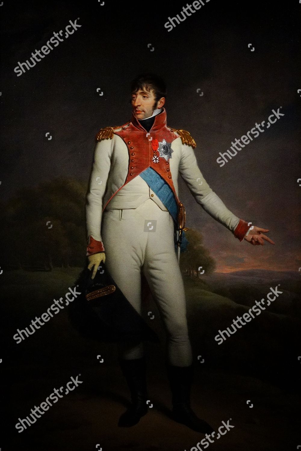 Portrait Louis Napoleon King Holland 17781846 Editorial Stock Photo ...