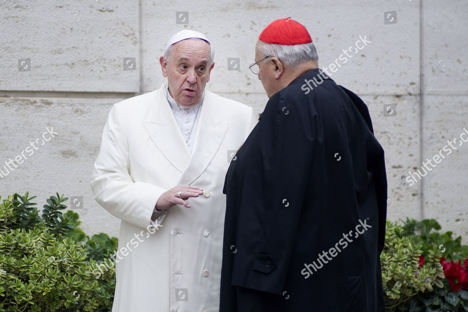 Pope Francis Cardinal Angelo Sodano Editorial Stock Photo - Stock Image ...