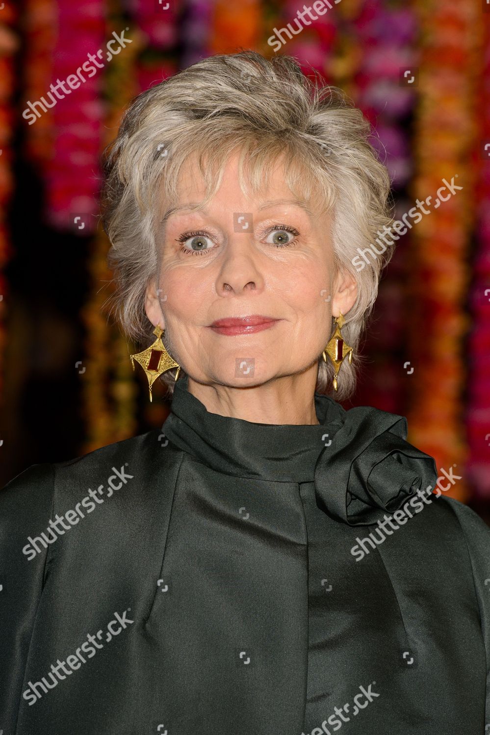 Diana Hardcastle Editorial Stock Photo - Stock Image | Shutterstock