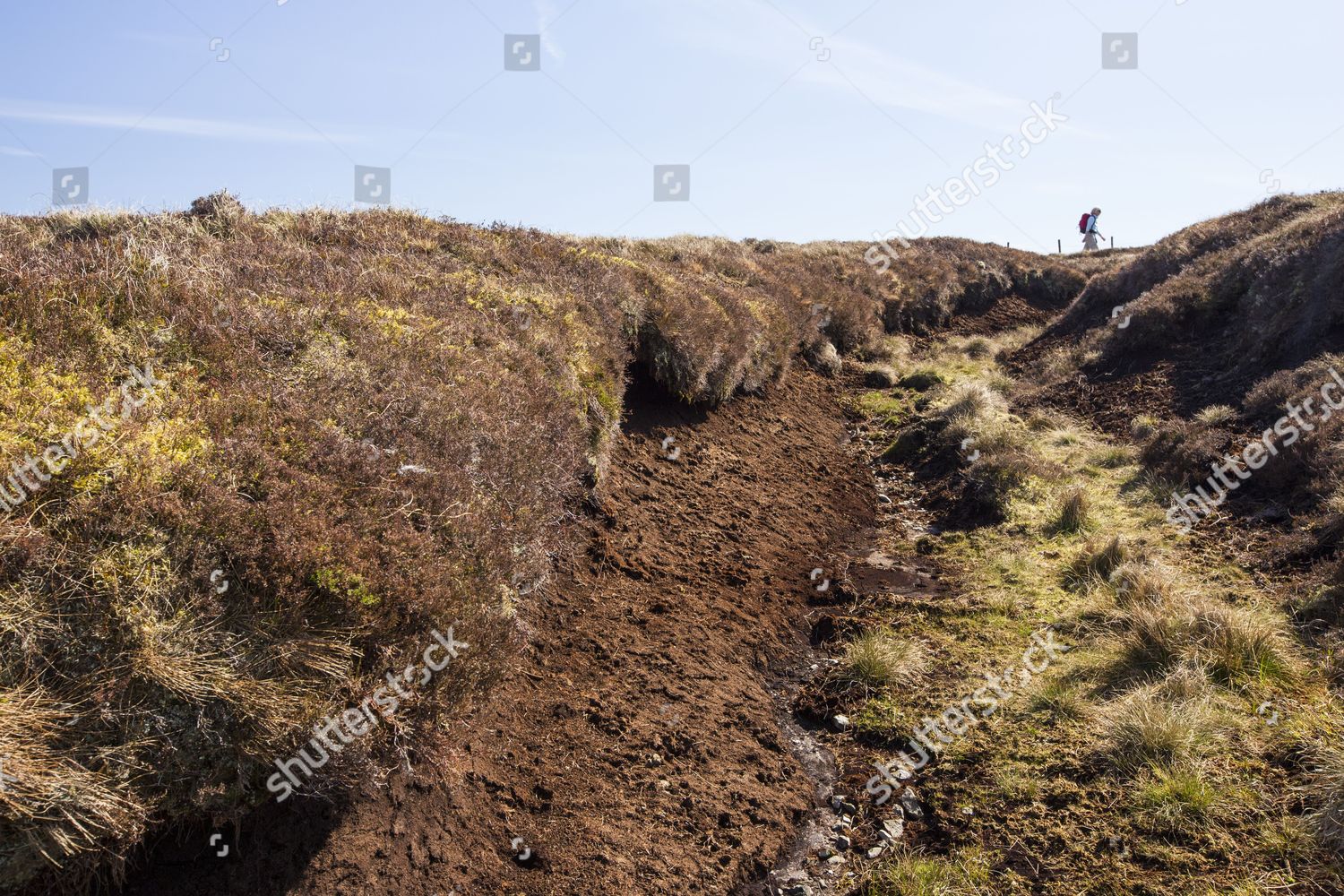 Peat Hags On King Bank Head Editorial Stock Photo - Stock Image ...