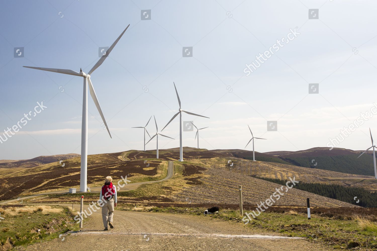 Clyde Wind Farm Southern Uplands Scotland Editorial Stock Photo - Stock ...