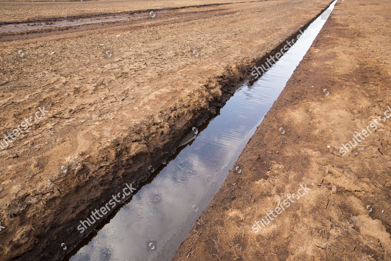 Raised Bog Being Harvested Peat Near Editorial Stock Photo - Stock ...
