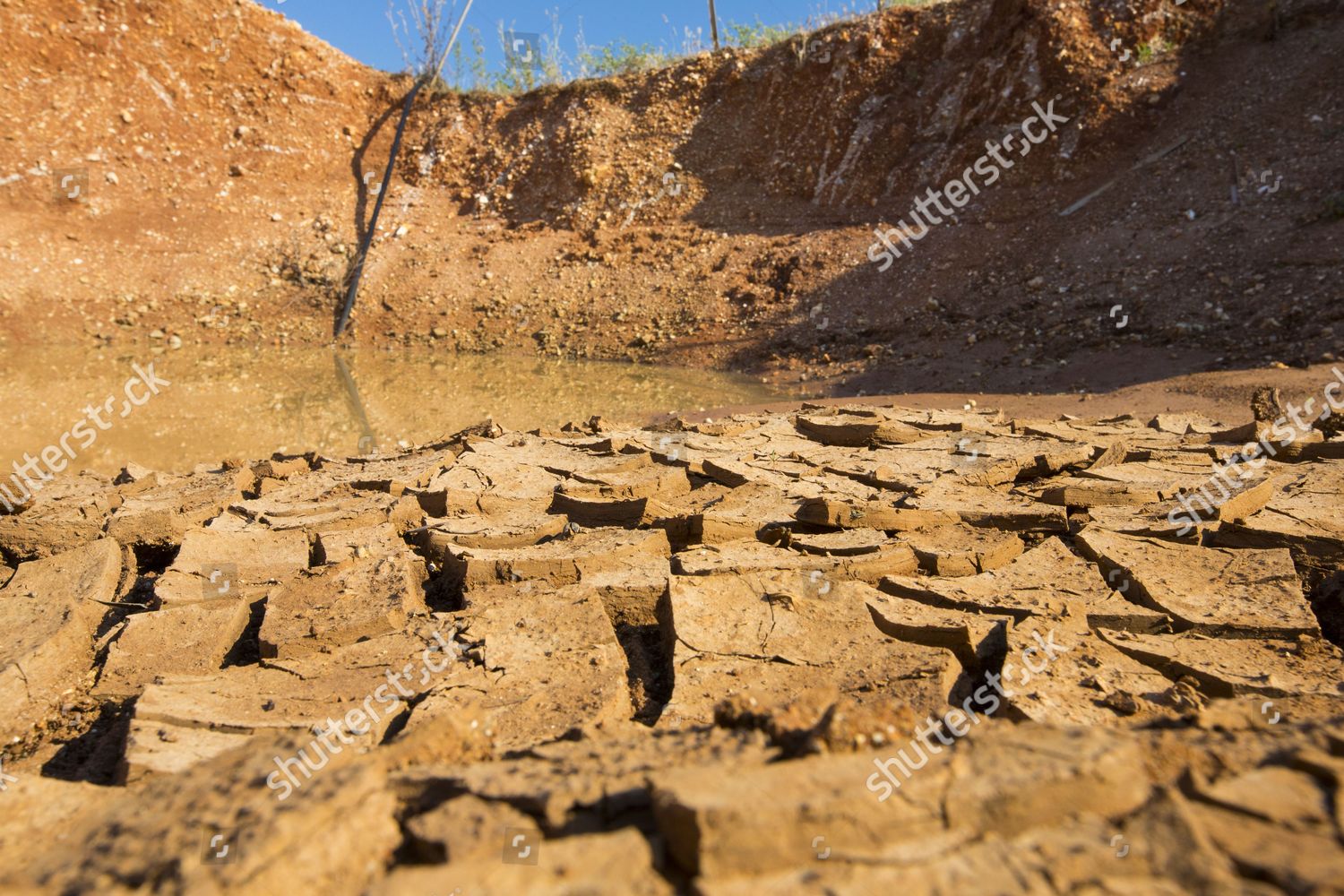 Farmers Watering Hole Drying Out Near Editorial Stock Photo - Stock ...